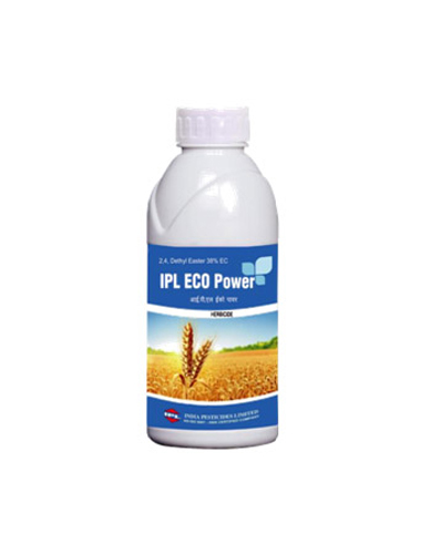 Product Offering